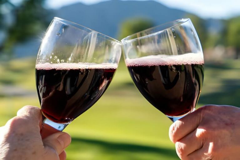 Lambrusco: Der prickelnde Rotwein der Emilia Romagna